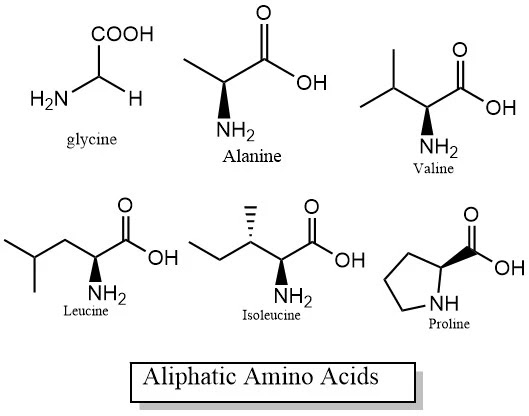Amino acids structures| 9 essential amino acids formula