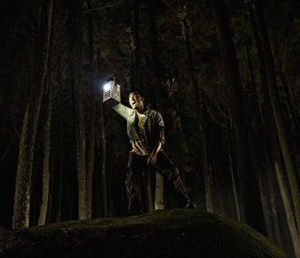 NIDO DE CUERVOS. Cine fantástico y de terror : Crítica: Modus Anomali