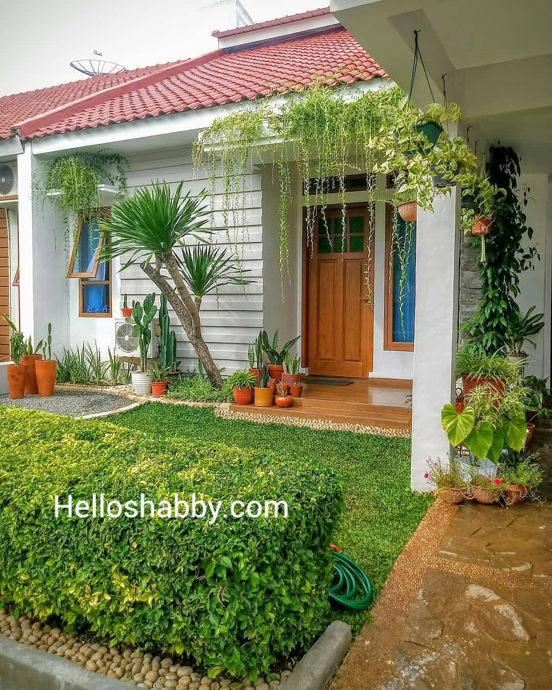 Inspirasi Bunga Gantung di Teras Rumah yang Cantik dan Bisa Anda Tiru ...