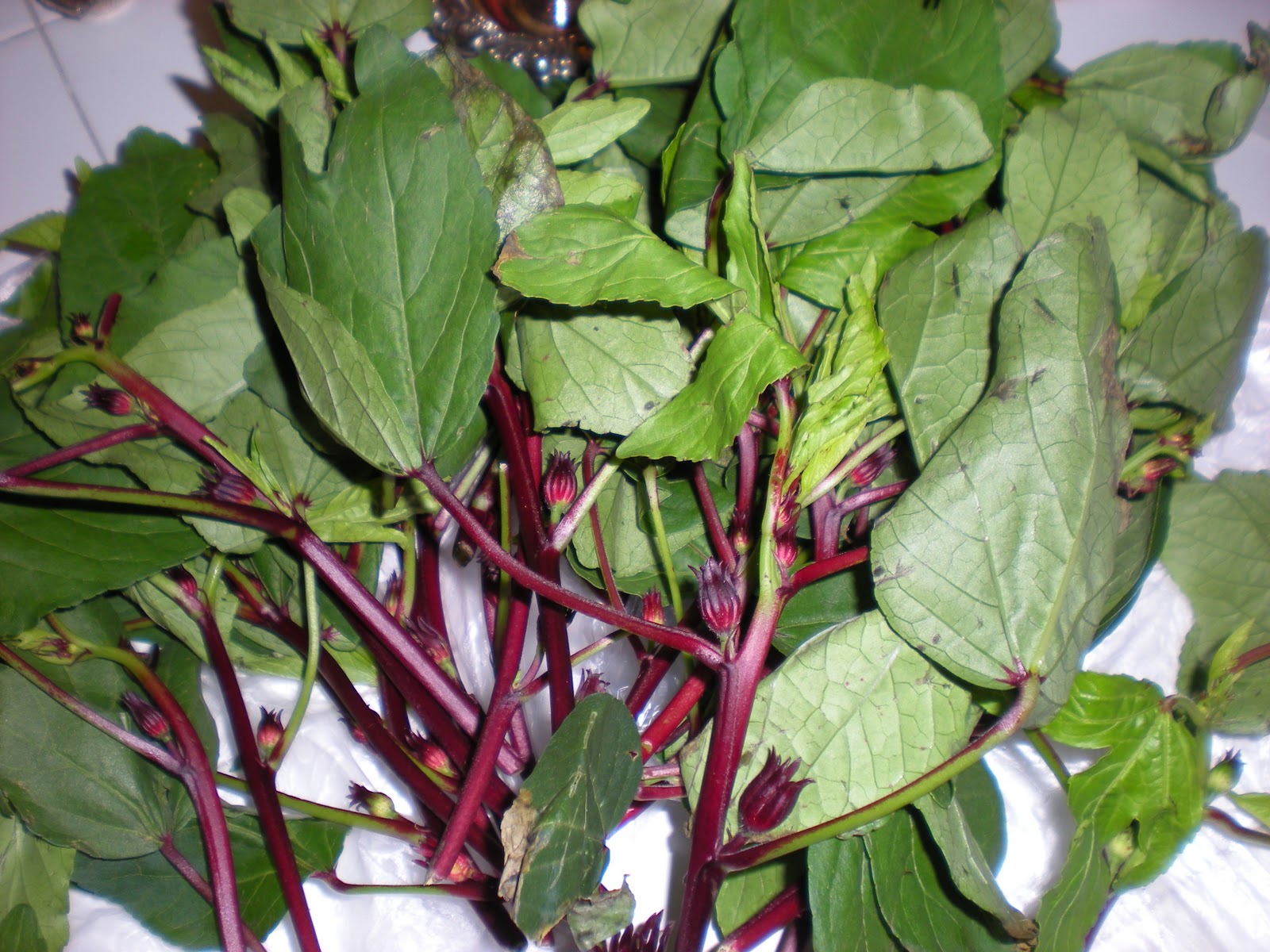 Rama s Delicacies Gongura Pachhadi 1 rama-s-delicacies-gongura-pachhadi-1