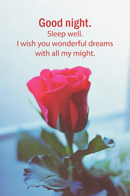 Good Night Messages, Wishes and Quotes – Good night Wishes SMS