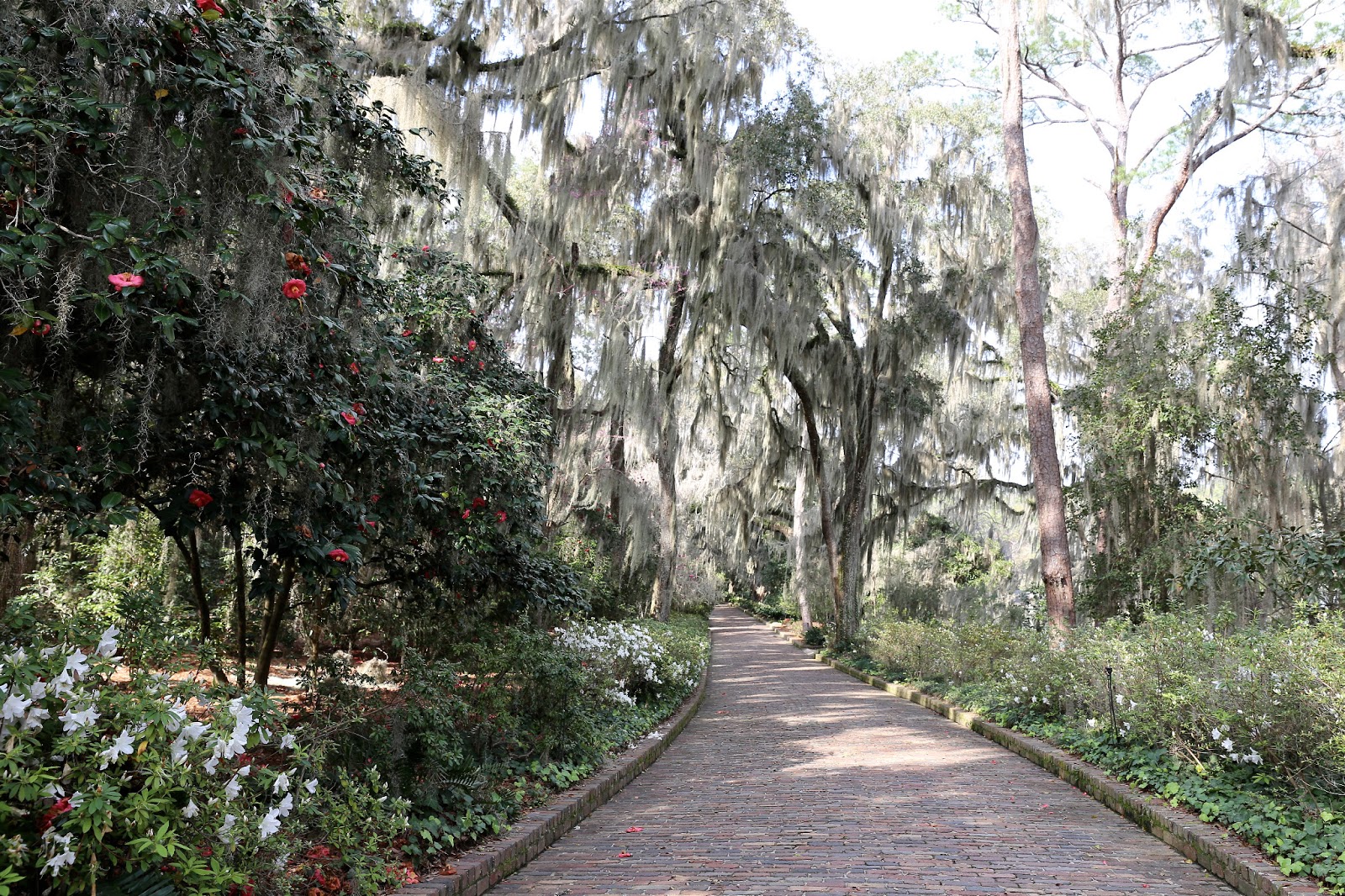 Sweet Southern Days: Maclay Gardens in Tallahassee, Florida