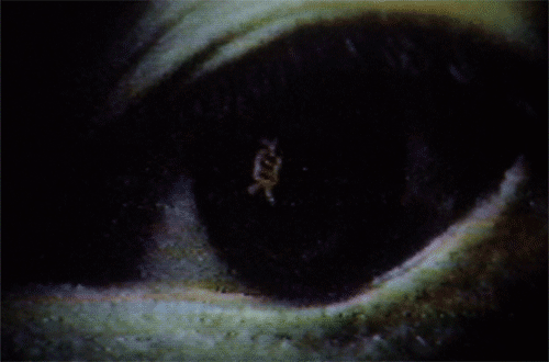 MaryaNox: Ringu VS. The Ring