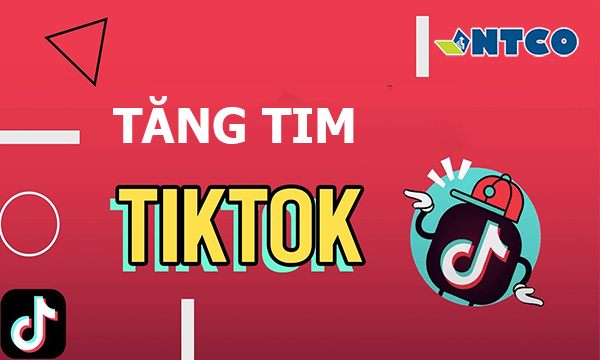 5 cách tăng tim video tik tok hiệu quả ~ Dịch Vụ Quảng Cáo