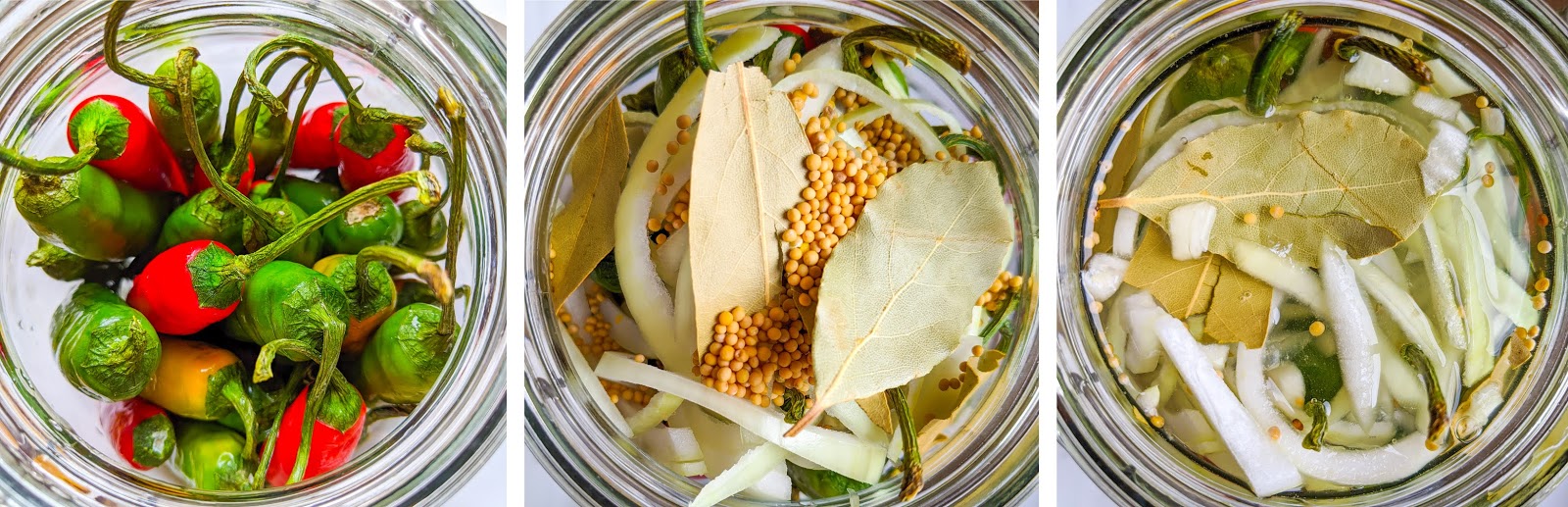 Fermented Chilies |Euphoric Vegan