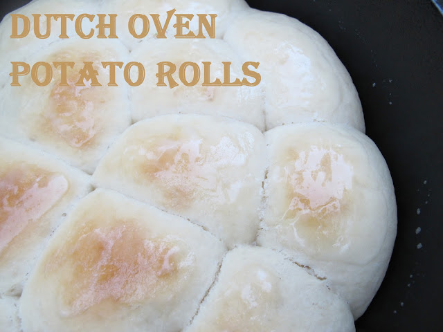 Dutch Oven Potato Rolls - Purple Chocolat Home