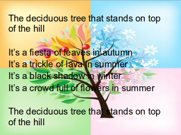 Susana @ Tamaki Primary School: My Four Season Poem