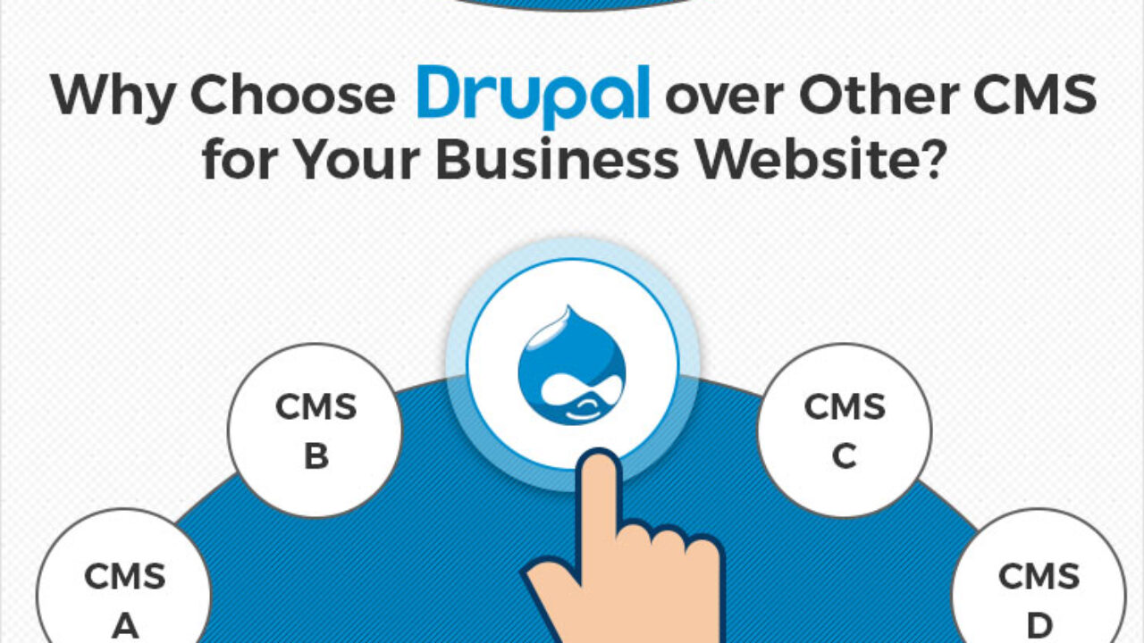 Drupal Development Company | Drupal Web Development Services: Drupal ...