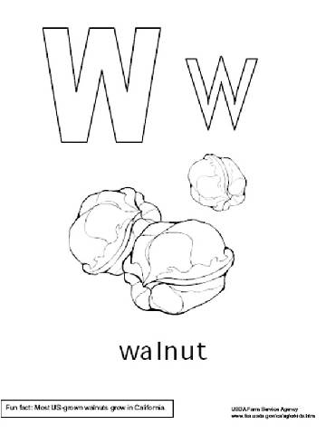 Preschool Coloring Pages : Alphabet Alphabook W >> Disney Coloring Pages