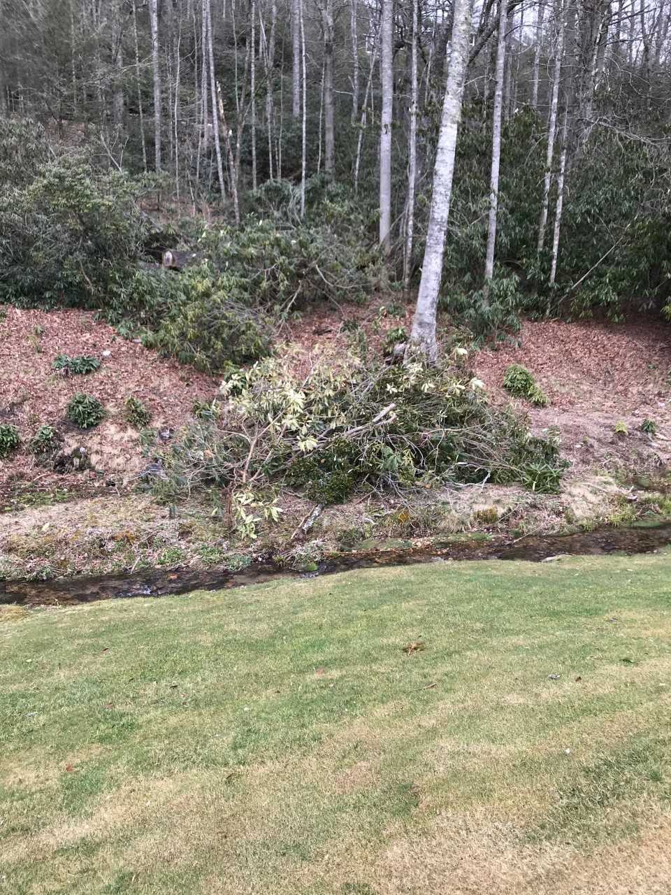 Highlands Country Club Agronomy: #3 Underbrushing