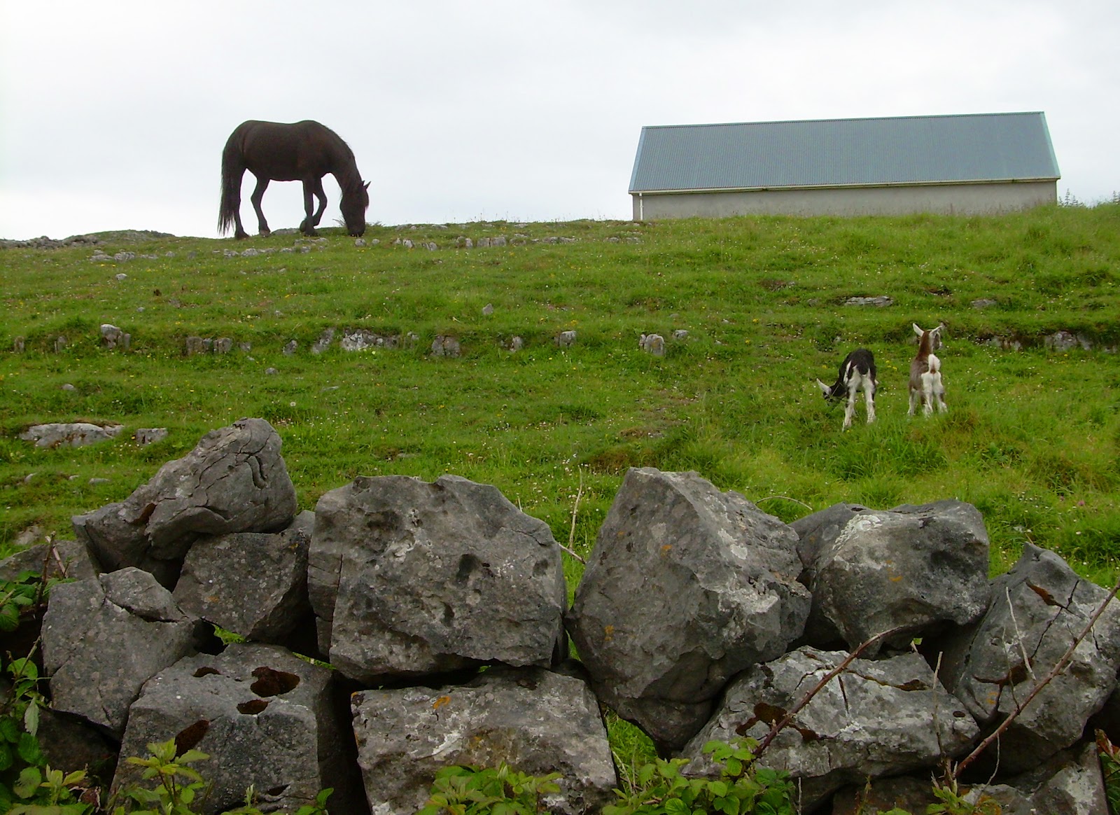 extended: Inspiring Ireland #1: Inis Mór
