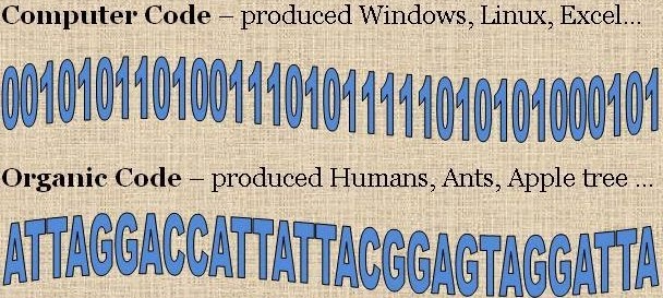 Genomic Entertainment: How Moore's Law is evolving to make the next ...