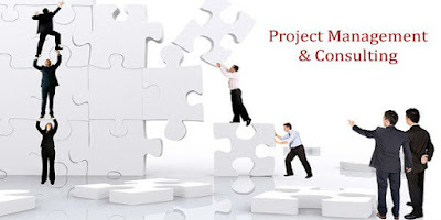 Project Management Consultants ~ Infographics Supply Chain Consultants ...