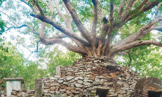 The Archaeology Researcher: වන්නි වැදි ජනතාවගේ ඇදහිලි විශ්වාස පිළිබඳ ...