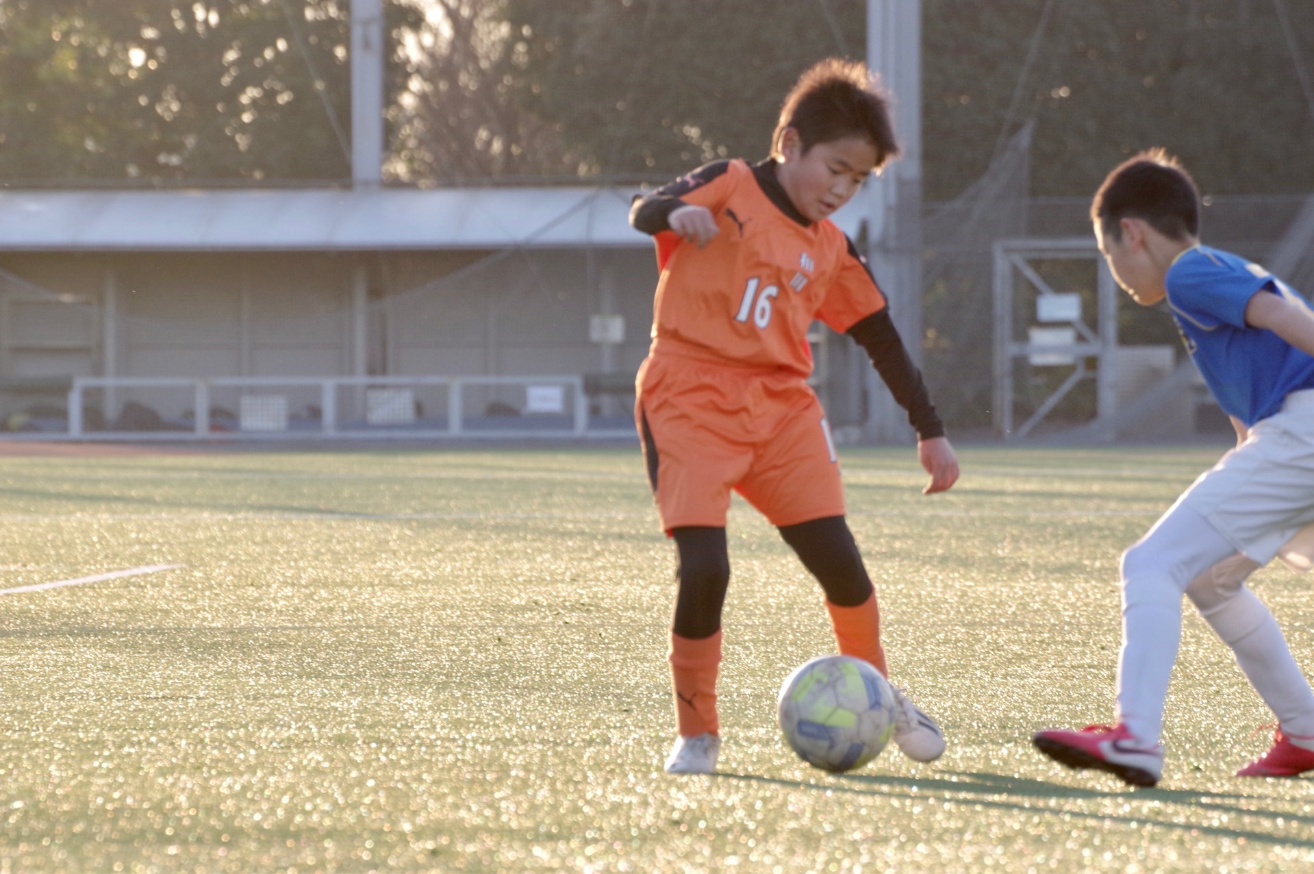 和田ブルドッグサッカークラブ: 2020