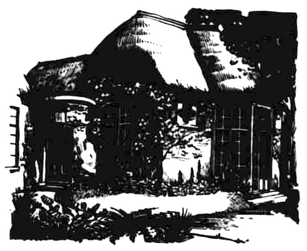 An Extract of Reflection: Storied Homes of Ulster – Derrymore House