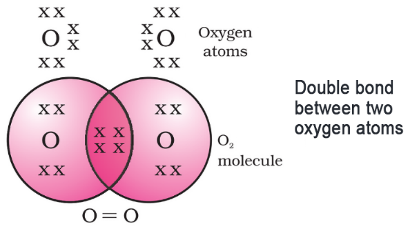 Chapter 4: Carbon and its Compounds | CBSE Class 10 | NCERT Notes ...