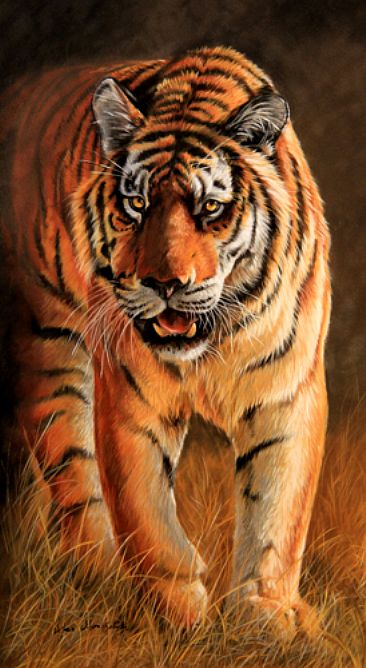 tr-art- 1: Victoria Wilson-Schultz