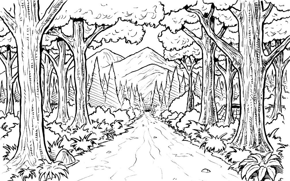 Forest Coloring Page - Fun Coloring