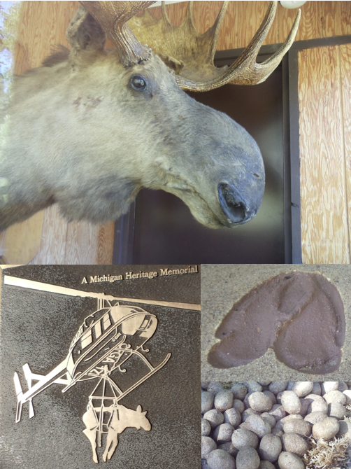 Michigan 1001 Daily Photo: Moose Drop at Van Riper State Park