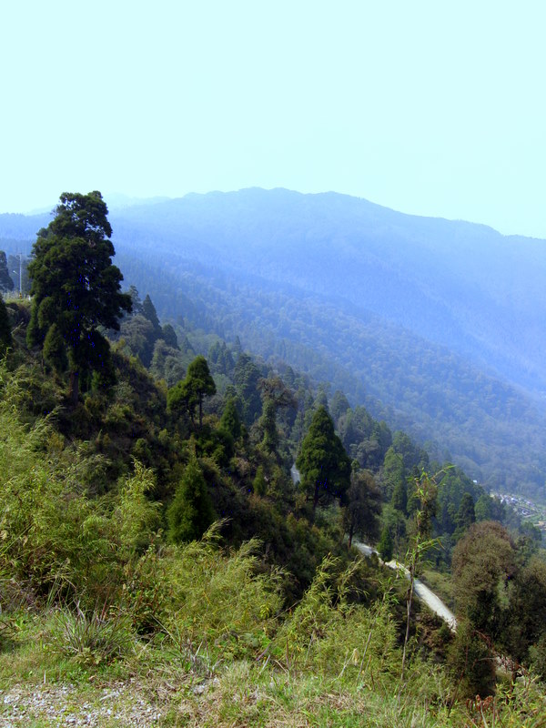 Adventures Trip at Latpanchar, Darjeeling in the eve of Durga Puja 2012 ...