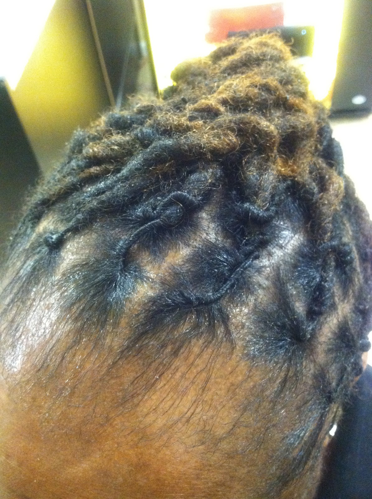 Palm Rolled Locs Style
