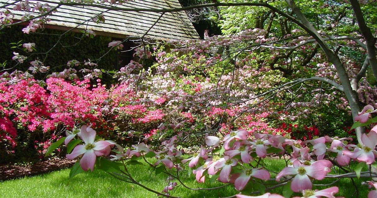 Tulsa Landscapers: Plant in Fall for Spring Color in Tulsa!