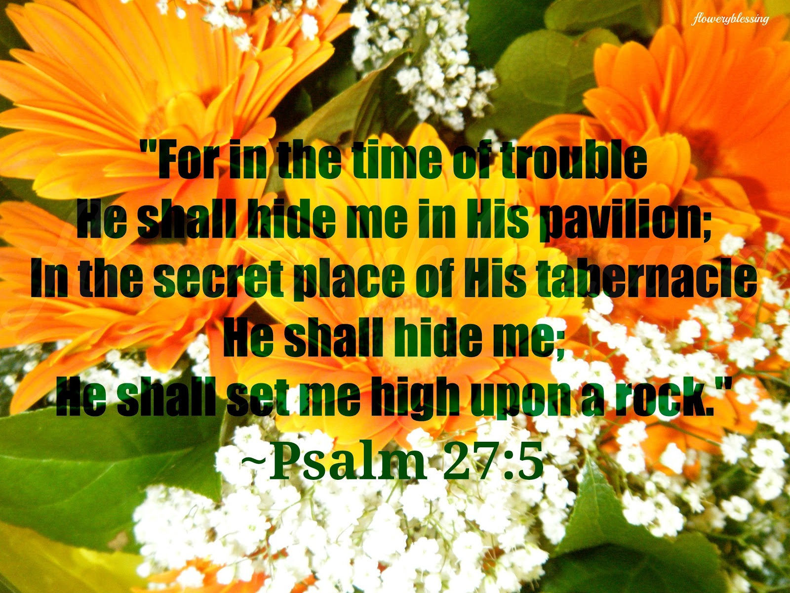 Flowery Blessing: February 2013