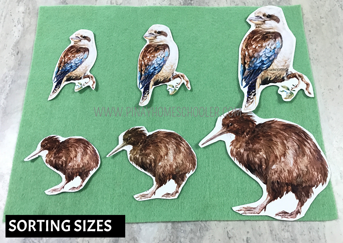 Oceania Australia Animals Math Packet | The Pinay Homeschooler