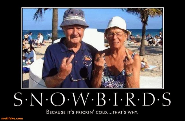 Lynn's little bit of trivia : It's about common sense - Snowbirds vs ...