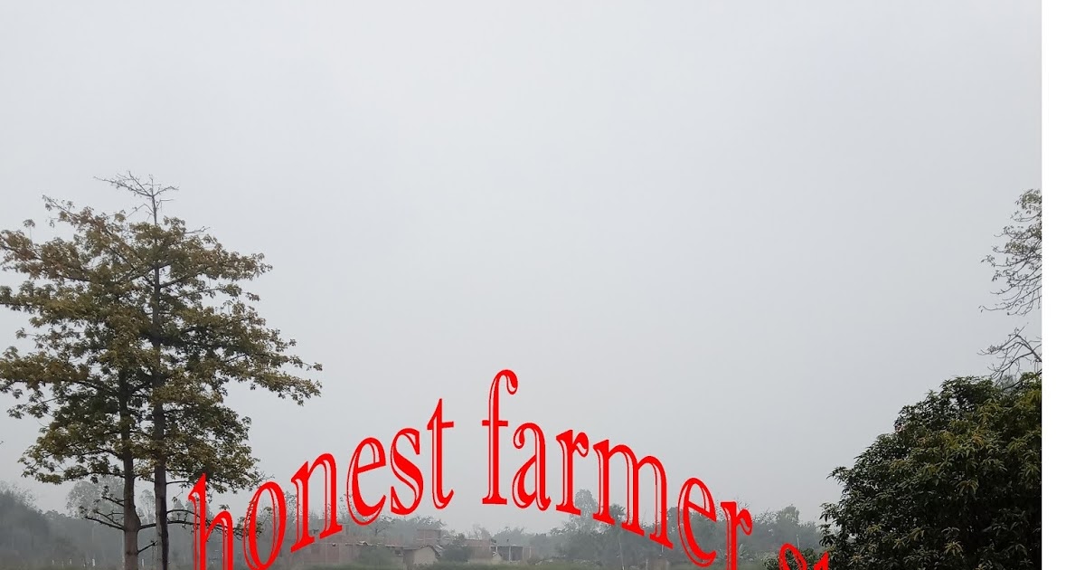 The honest farmer story