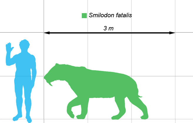 SMILODON