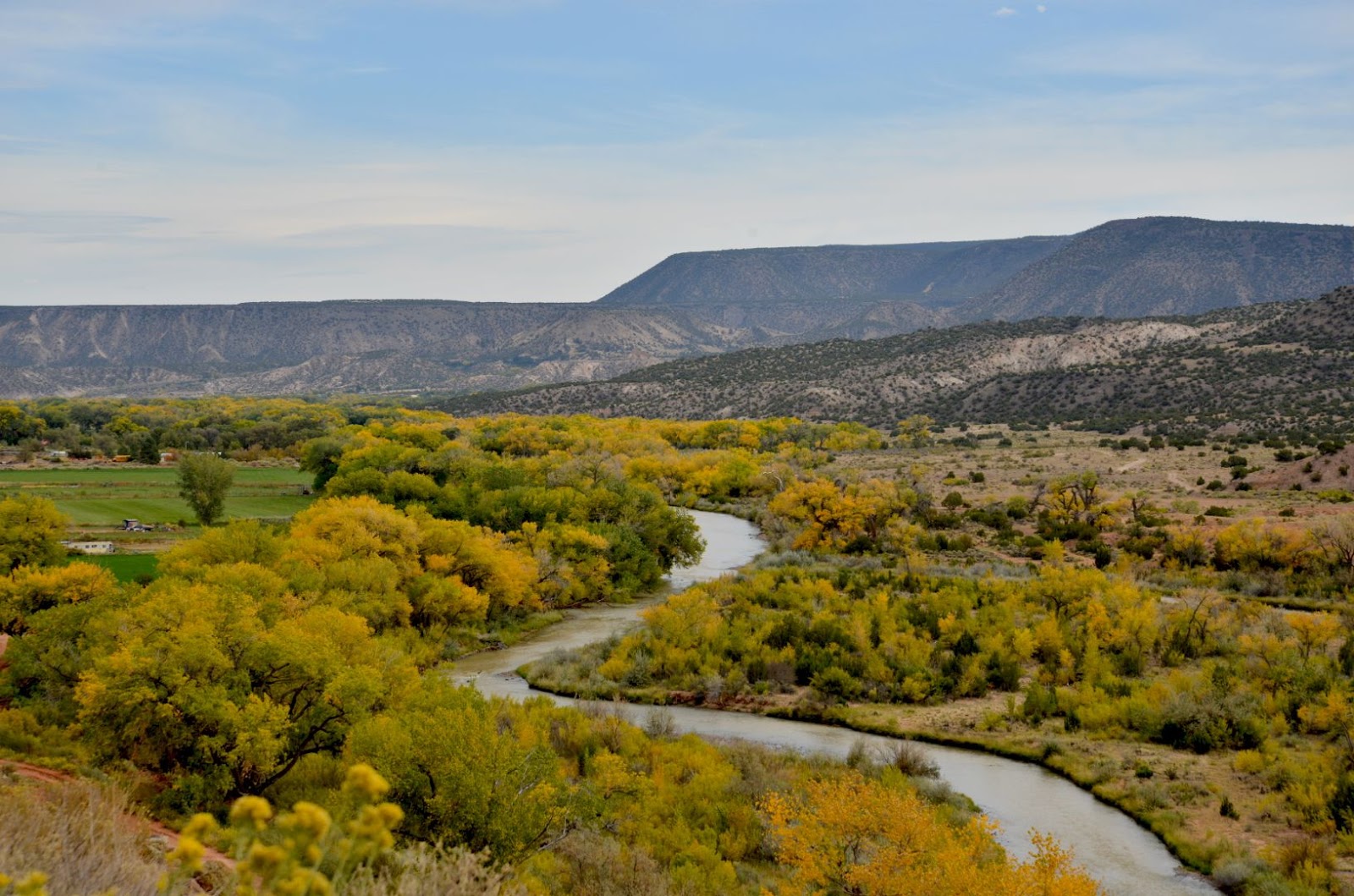 Fall, Mesa Verde, Tram, Scenery - light-in-leaves
