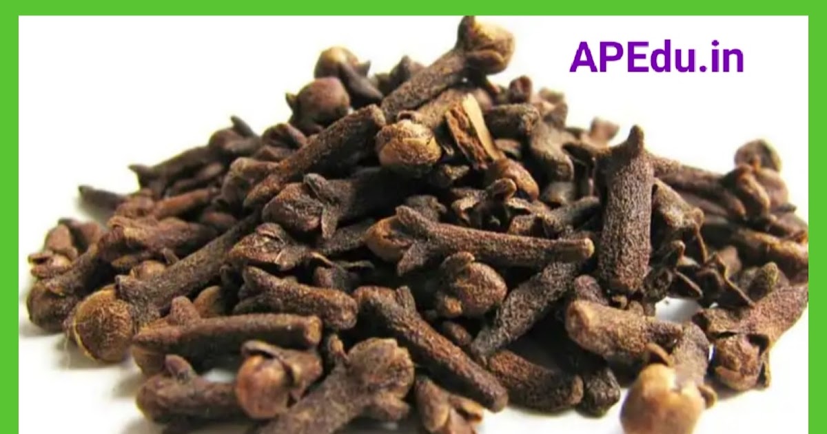 Health Benefits of Cloves: Eating Cloves .. All These Illnesses Can Be ...