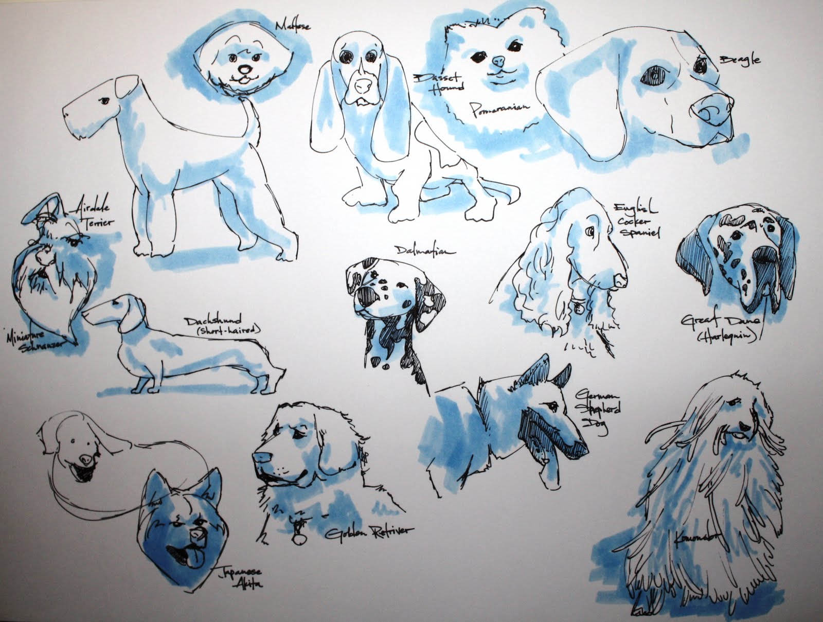 My Shoebox of Dreams: Dogs! - Illustration Contest