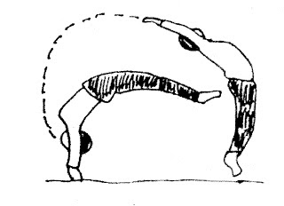 Liputan Harian: Macam Jenis Gaya Senam Lantai