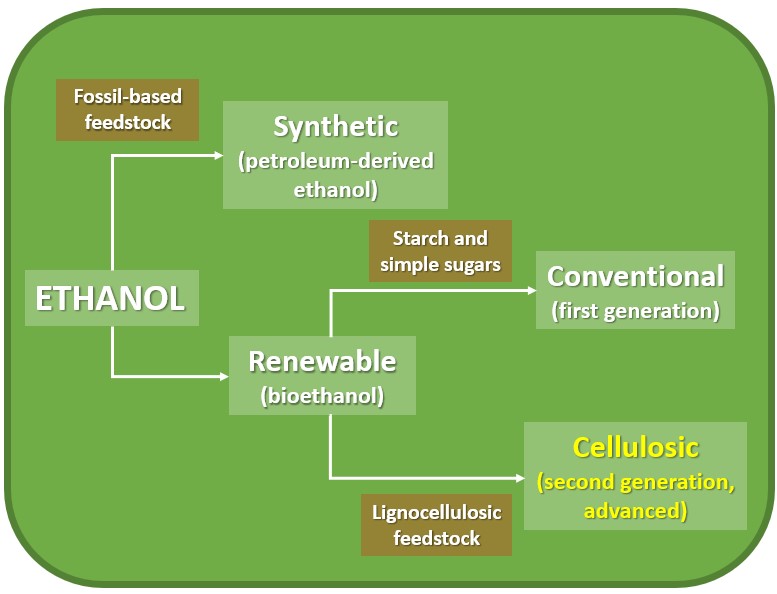 Cellulosic ethanol – The basics: Concepts and feedstocks