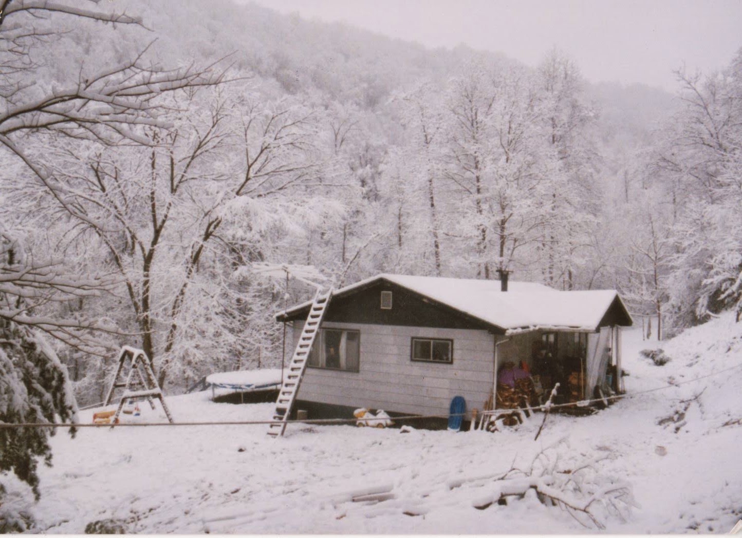 The Linefork Years: Introduction