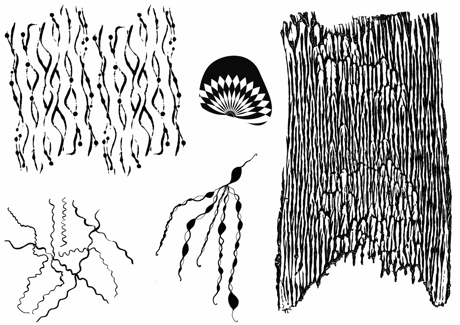 T.I.P: Motif development