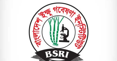 bsri vector logo - designway4u