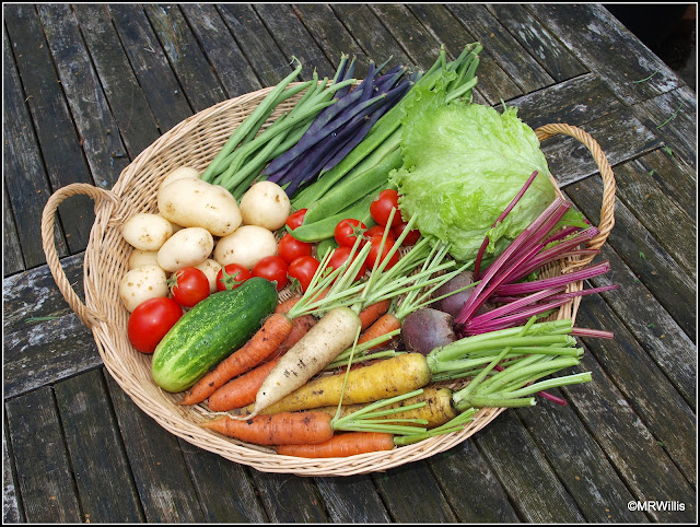 Mark's Veg Plot: The benefits of a colourful harvest