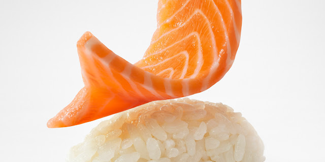 IELTS Writing Task 1: Bài mẫu Process về "Frozen Fish Pies" | eat.sleep ...