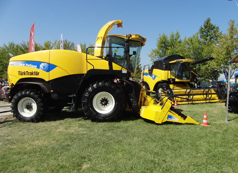 bike the AG-world: Turkey Farming