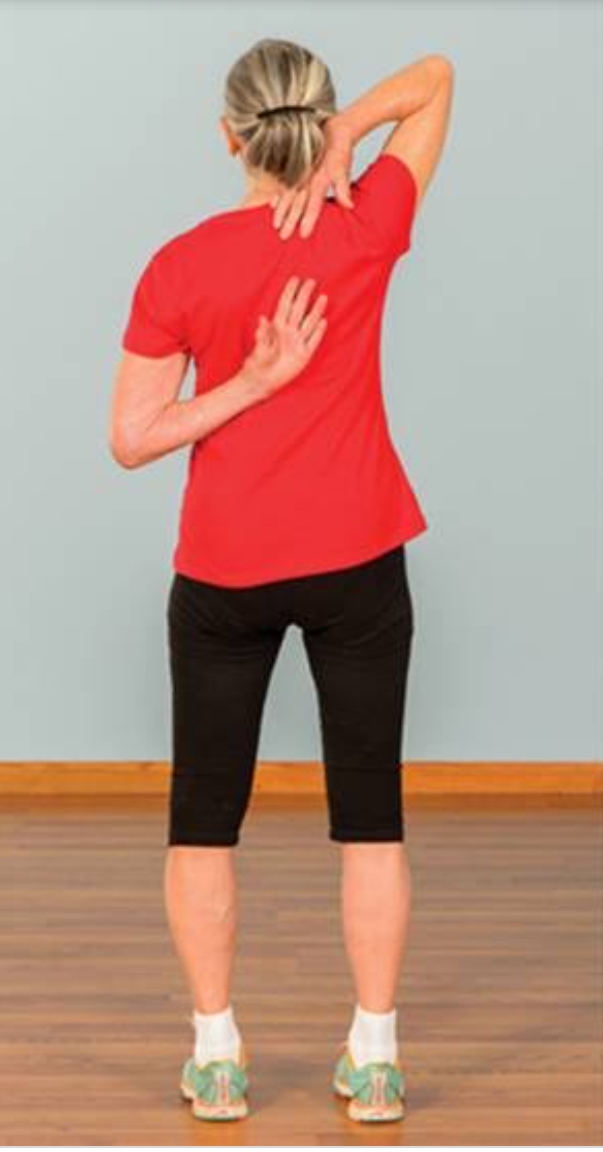 FITNESS TEST FOR SENIOR CITIZENS.