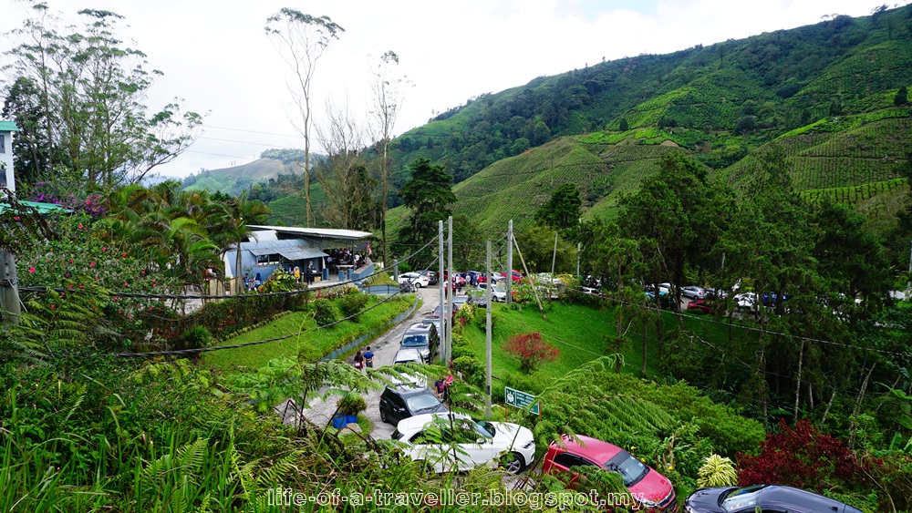 A Traveller's Note: BOH Heritage Tea Centre and Factory, Habu, Cameron ...