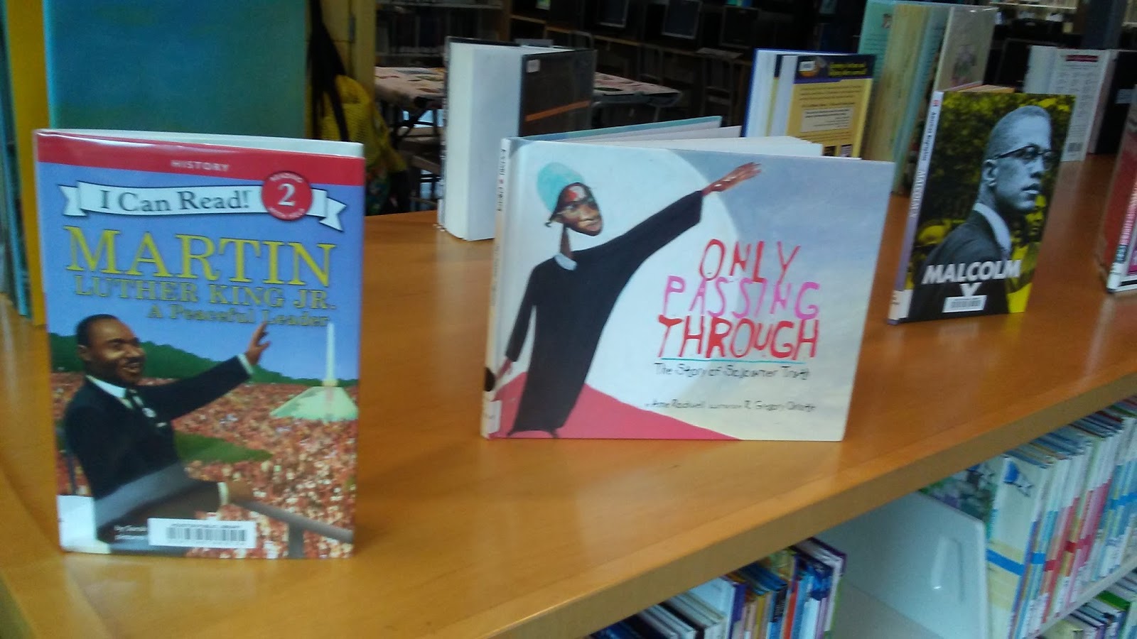 Stanaker Neighborhood Library: February 2018