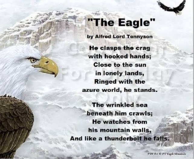 Chudasamapayal: poem : " The Eagle"