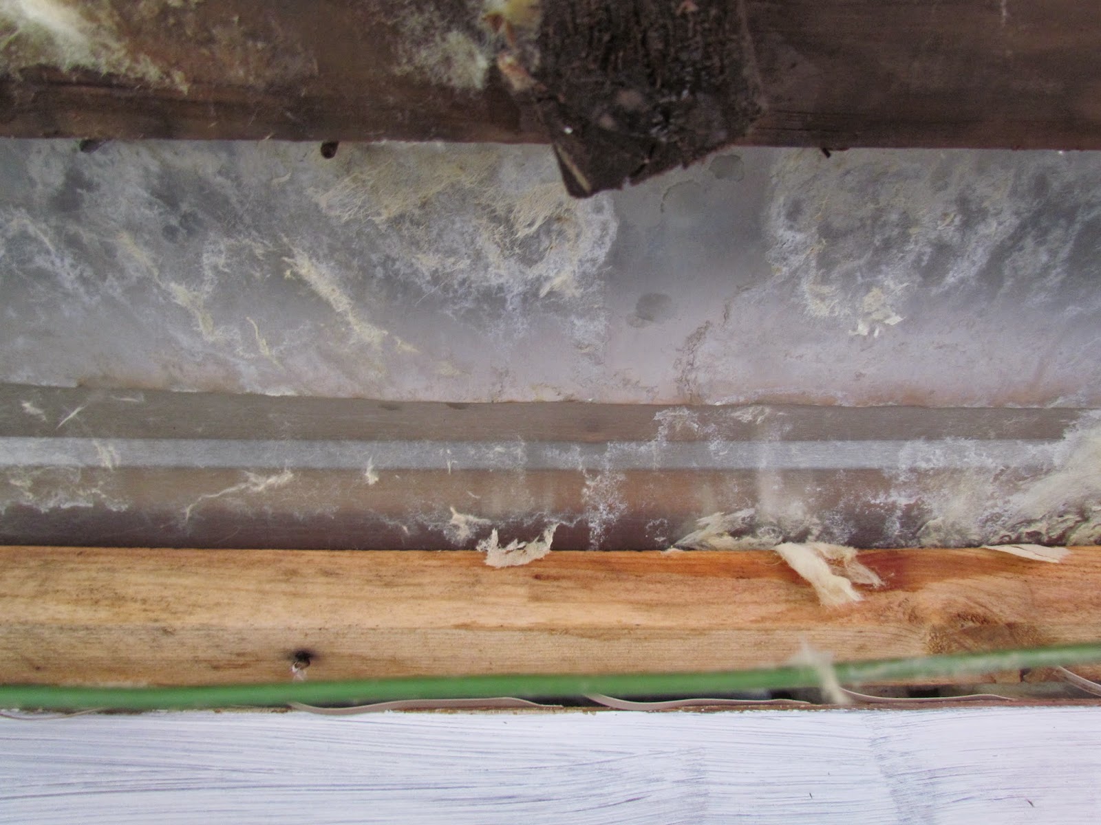 "The three great essentials to achieve anything worth while are: Hard ...