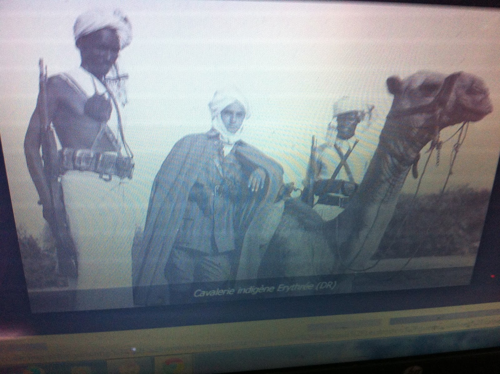 THE BLACK SOCIAL HISTORY:: BLACK SOCIAL HISTORY : AFRO-SOMALIAN ...