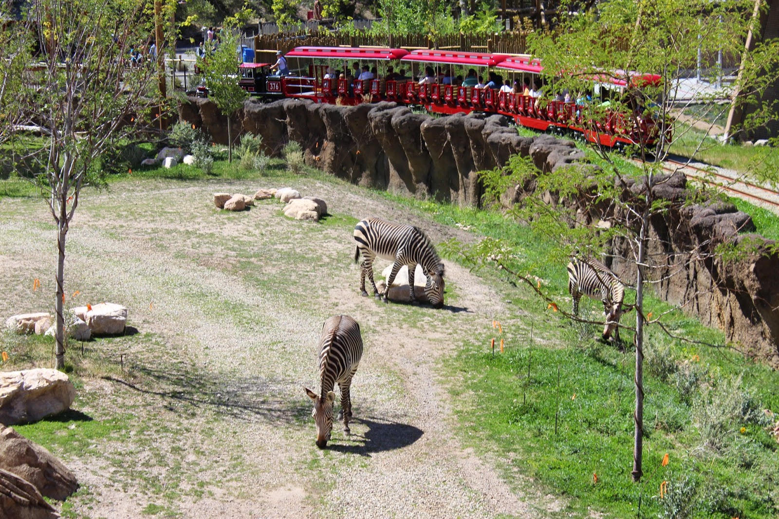 Jen's Updates: Hogle Zoo, Salt Lake City UT